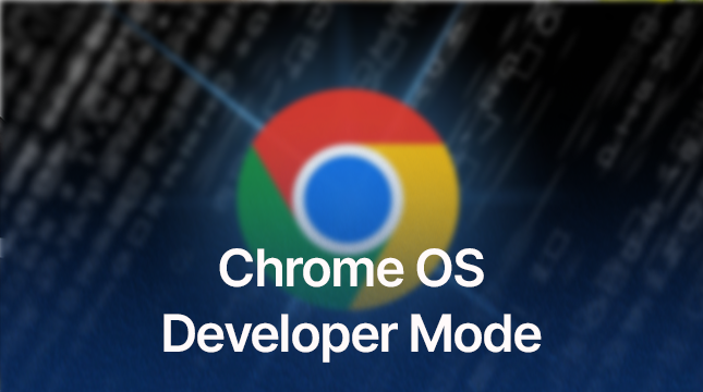 How to Turn on Chrome OS Developer Mode - Netizens Technologies