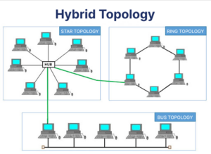 Network Topology Guide: How to Choose the Best Setup